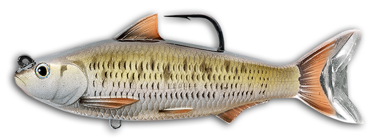 LiveTarget Common Shiner Swimbait - Dunns Sporting Goods