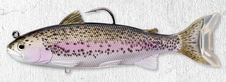 LiveTarget Trout Adult Swimbait - Dunns Sporting Goods