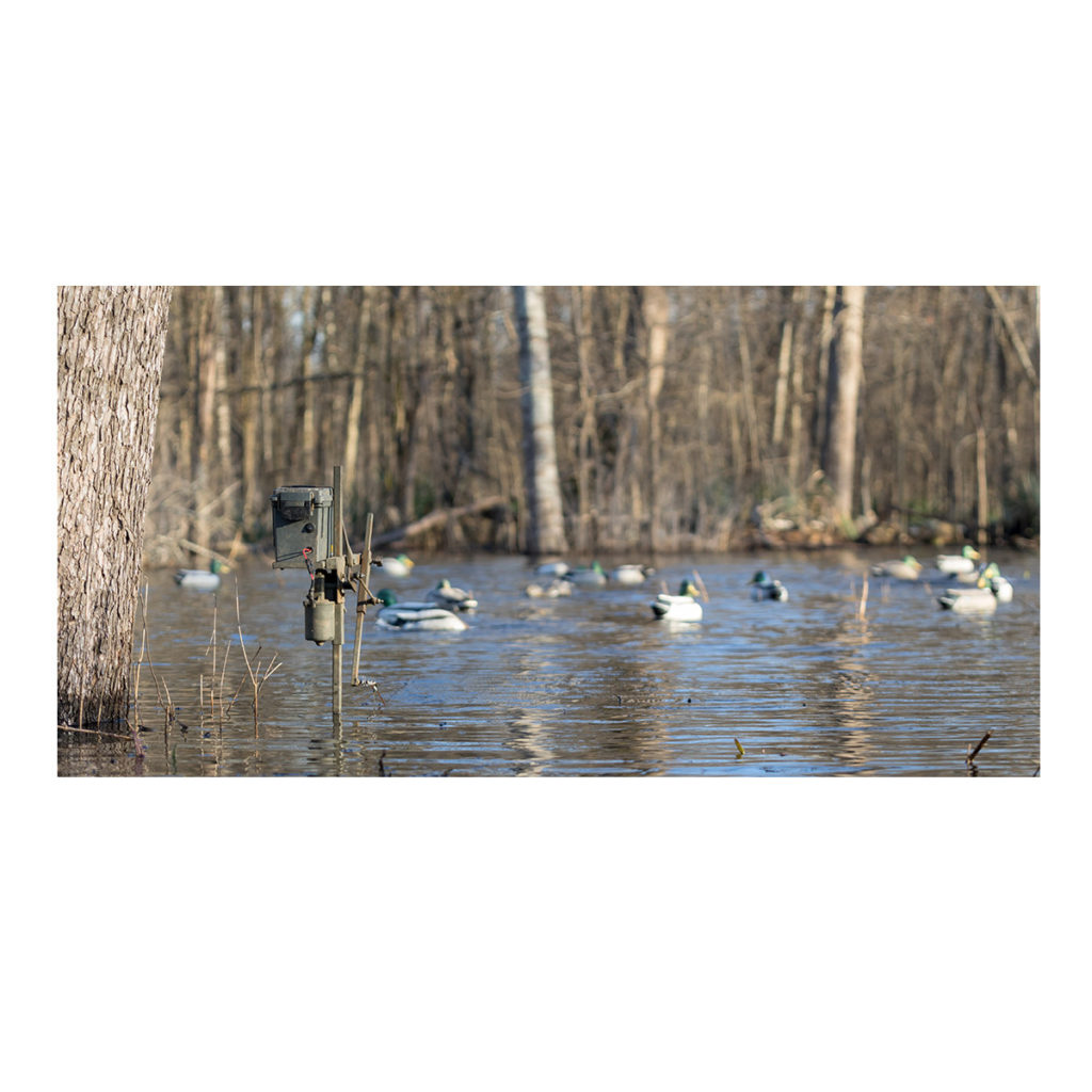 Perfect Limit Designated Puller Automatic Jerk Rig Model 1 w/Battery ...