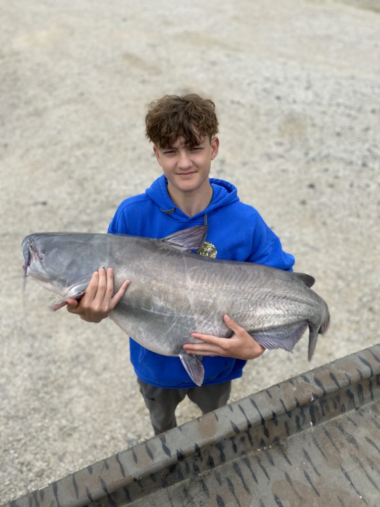 50lb blue cat - Dunns Sporting Goods